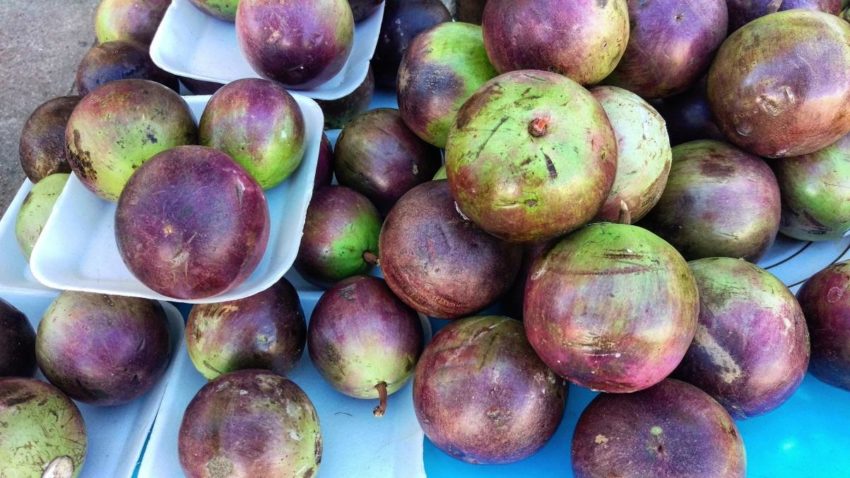 Four ingredients from the Yucatán Peninsula that you will fall in love ...