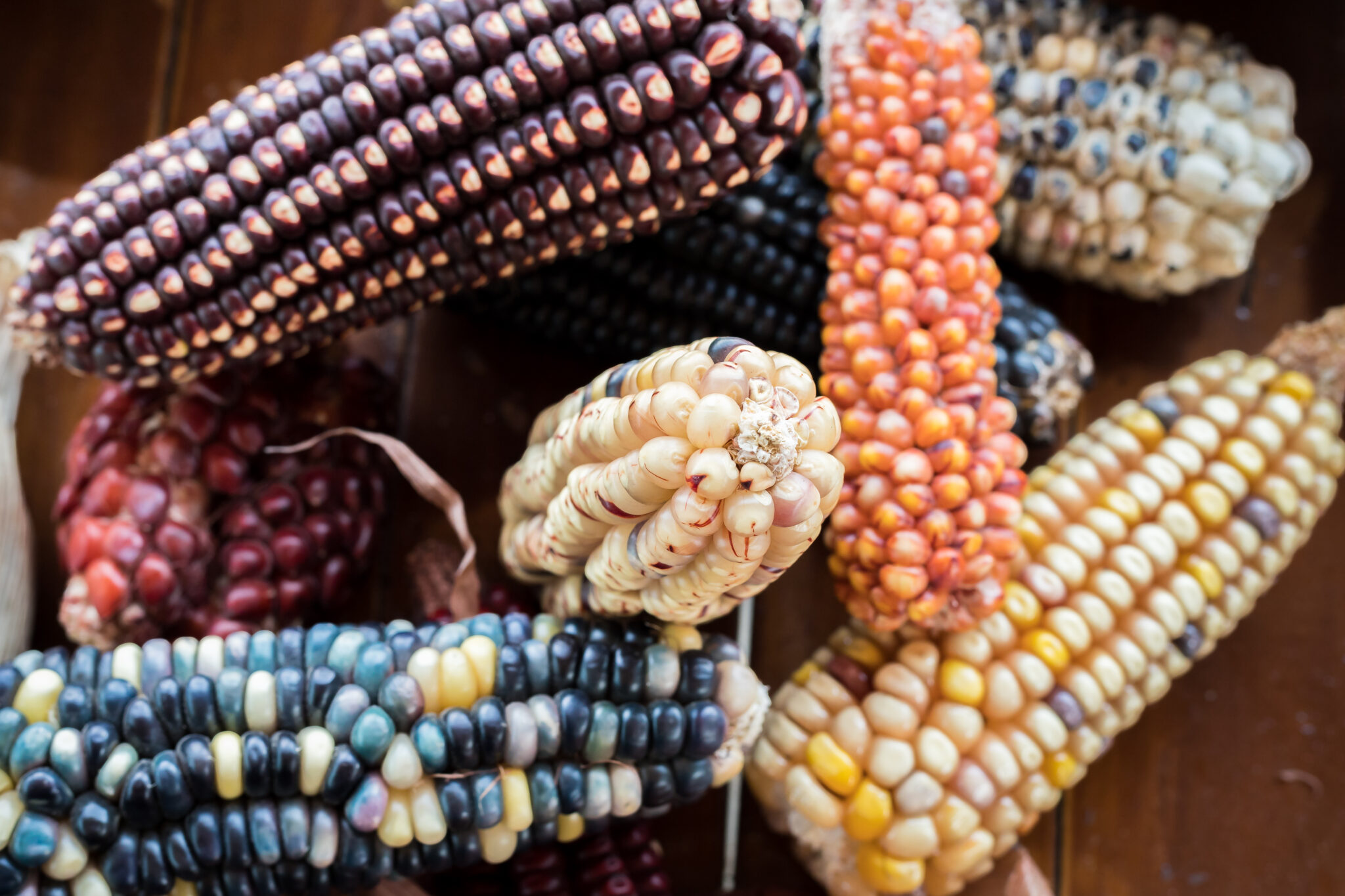 Tortilla Class and Workshop: Eat Mexico's new must-try activity! - Eat ...
